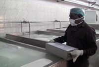 Paneer Processing Plant