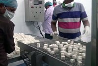 Paneer Processing Plant