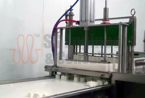 Paneer Processing Plant