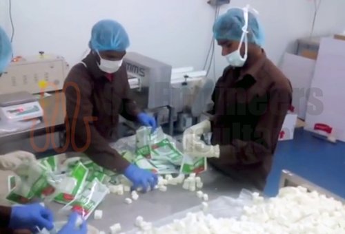 Paneer Processing Plant